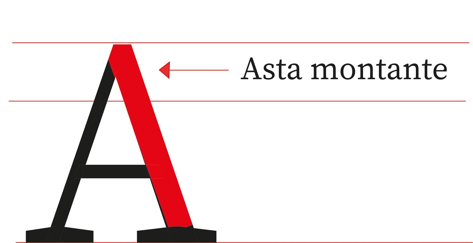 paulina plaza: Entrega anatomía de la tipografia