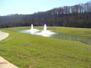 Bloggin' from the Sidelines: Cool Features of the Complex