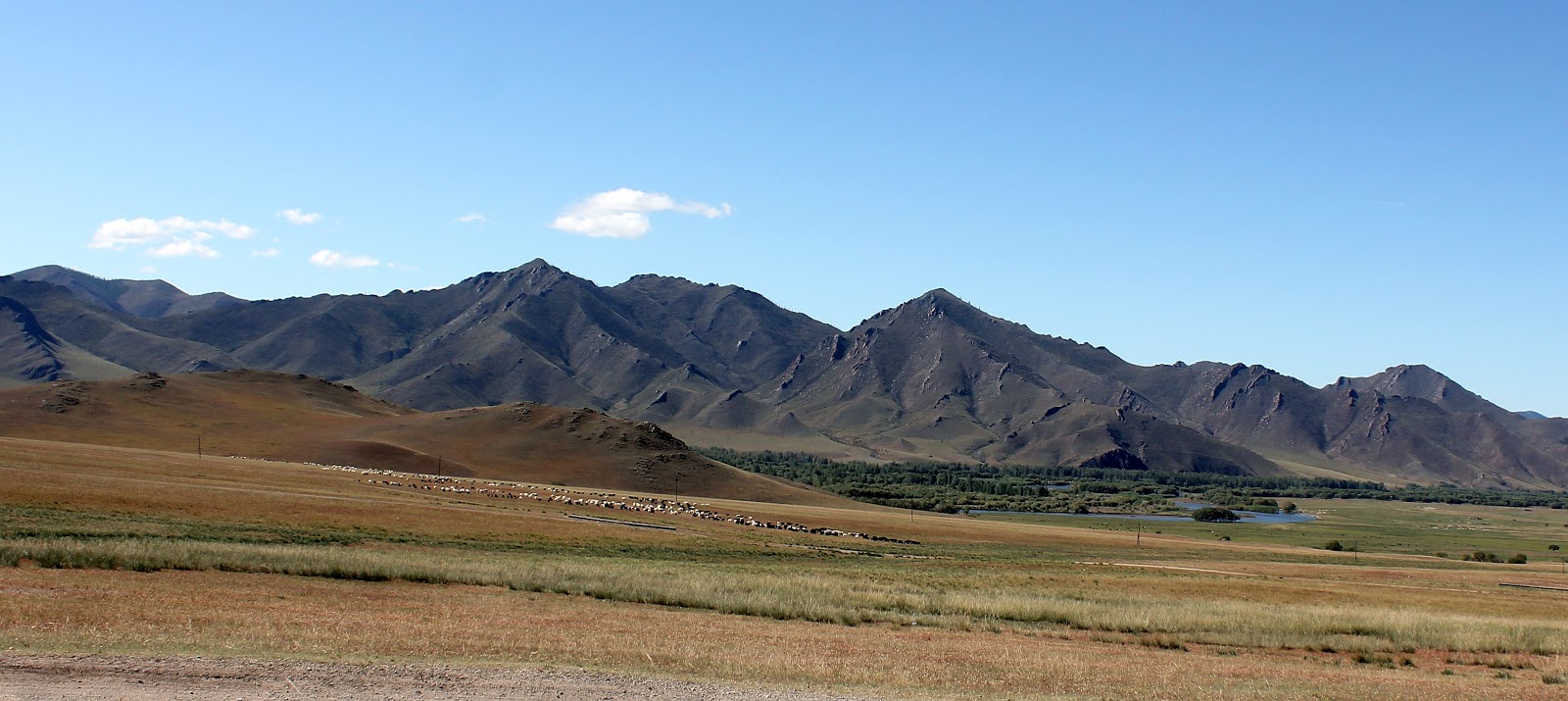 Musings in Mongolia: Trip to Murun