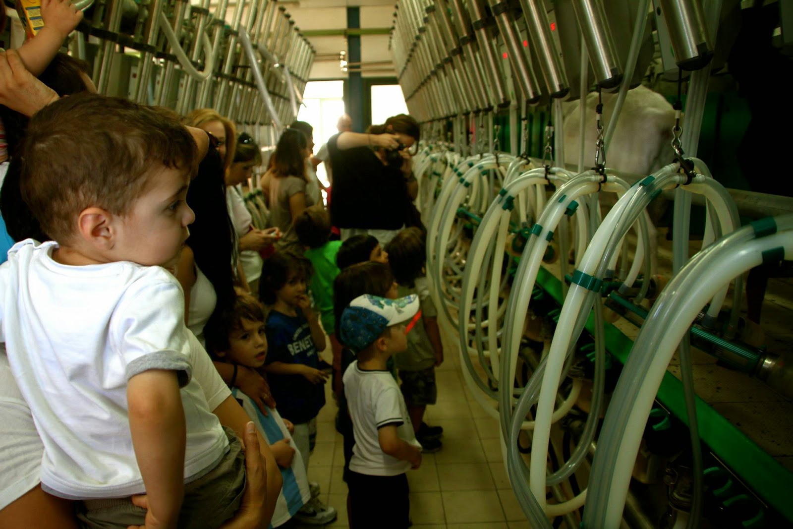 Produced in Cyprus: Riverland Diary Bio Farm – your first choice for ...