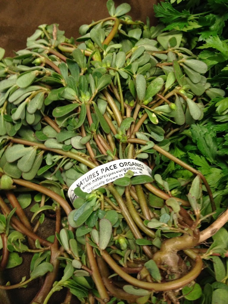 bradpetehoops: Purselane, Kulasiman, Gulasiman, Ulasimanpu