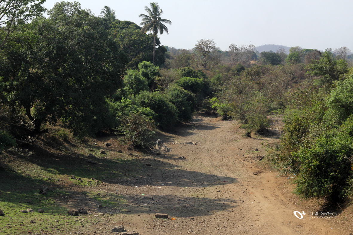 qidr.an ©: Dandeli Trip 2013 | Hubli-Dandeli route