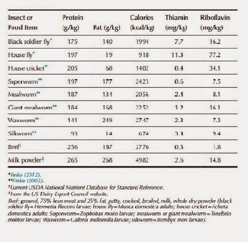 Edible Insect Network: Nutritional Benefits of Insects