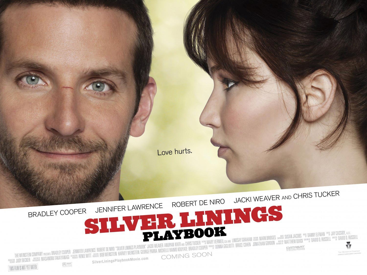 The One Movie Blog: Silver Linings Playbook (2012)