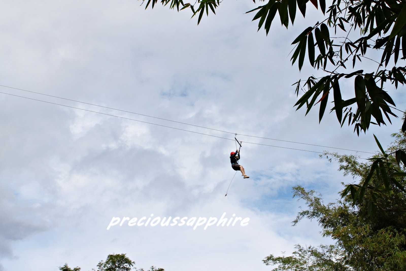 Sabah Young Tourism Ambassadors: Flying Fox with Zip Borneo (Asia Ability)