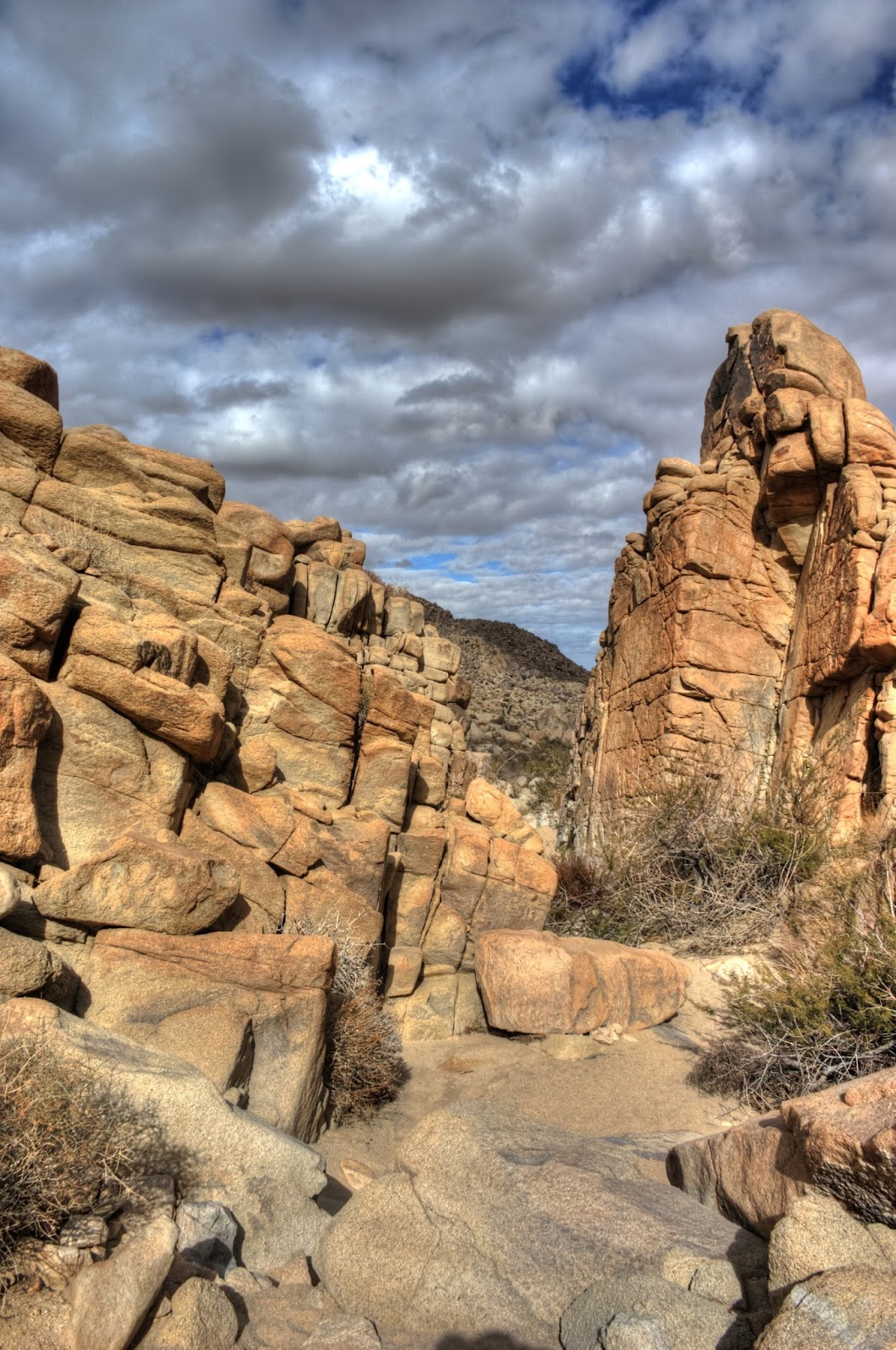 UNIQUELY JOSHUA TREE: ROCK PILES JOSHUA TREE