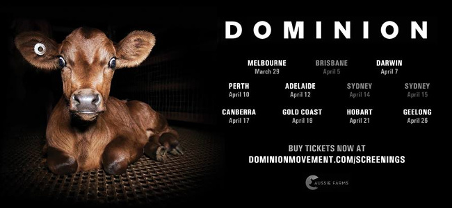 The Mint Bunny: Dominion