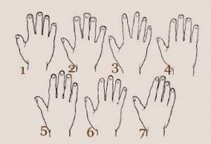 CONOCE LA QUIROMANCIA: Tipos de manos