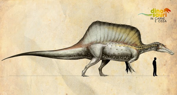 Mundo Terópodo: La Nueva Cara del Espinosaurio