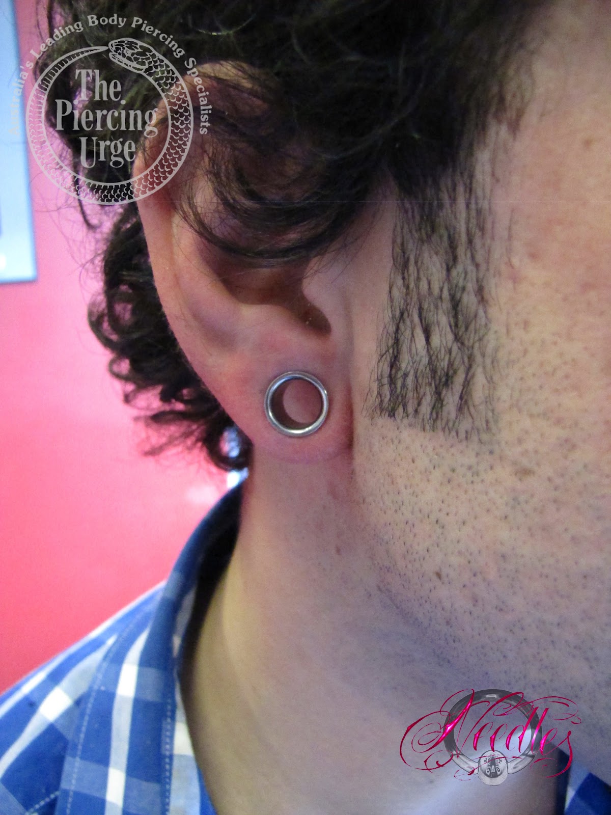 NINE BODY PIERCING BLOG: Fresh 00g Earlobe Scalpel with 00g Eyelet