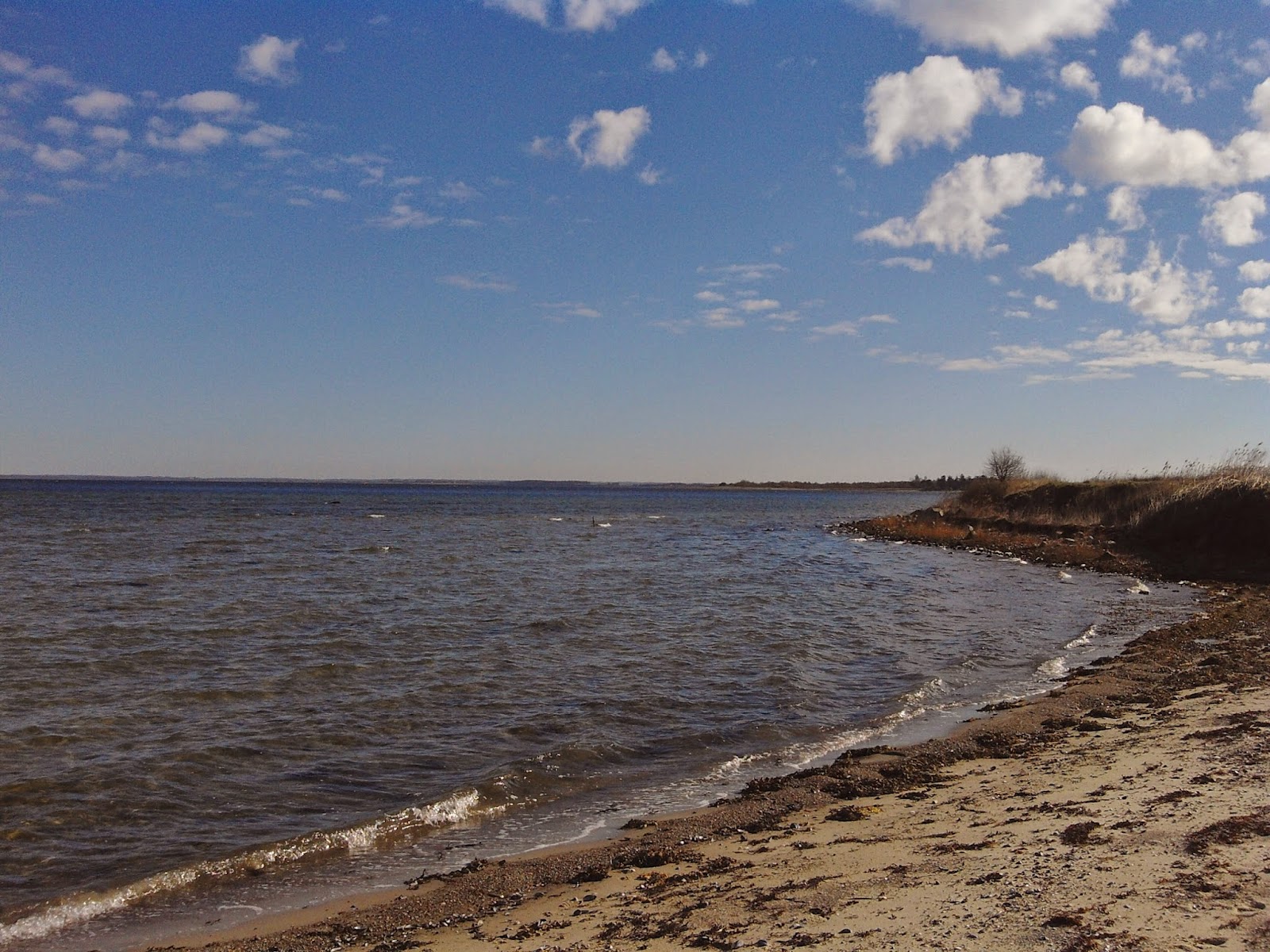 Havkajak loggen: Lillebælt Årøsund - Bågø