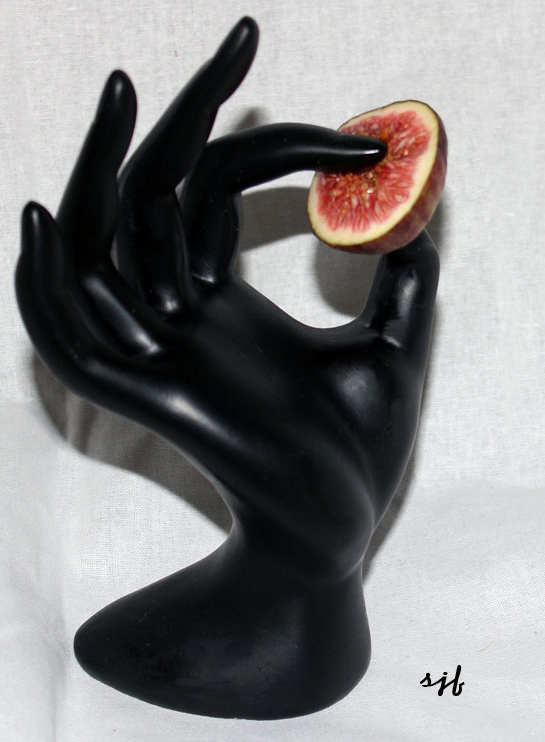 Dietitians Online Blog: November 1 to 7, National Fig Week Figs ...