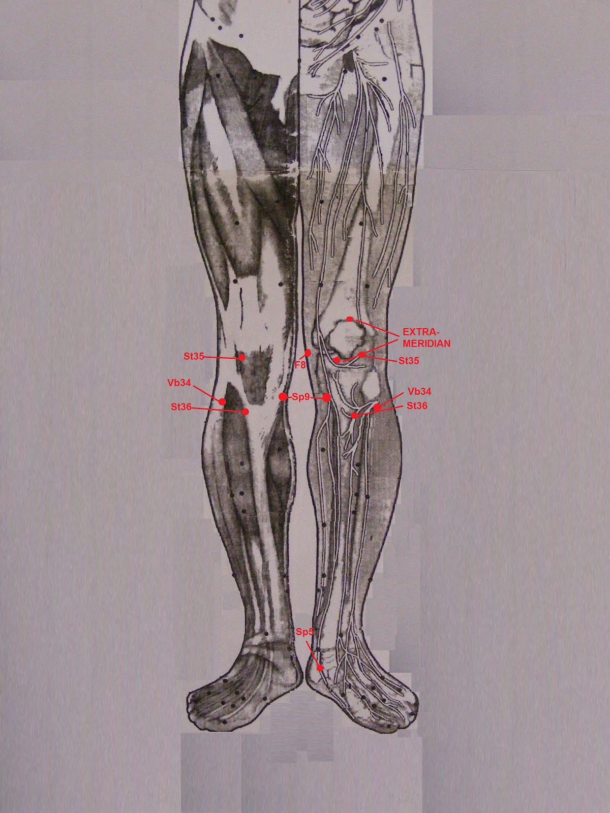 masaj terapeutic cluj: Durerile de genunchi