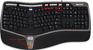 "Hey, Gaston": Using the F-Lock and restore function Keys on Microsoft ...