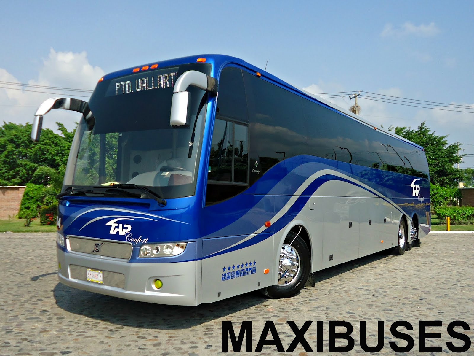 MAXIBUSES: TRANSPORTES Y AUTOBUSES DEL PACÍFICO, CONFORT (TAP CONFORT)