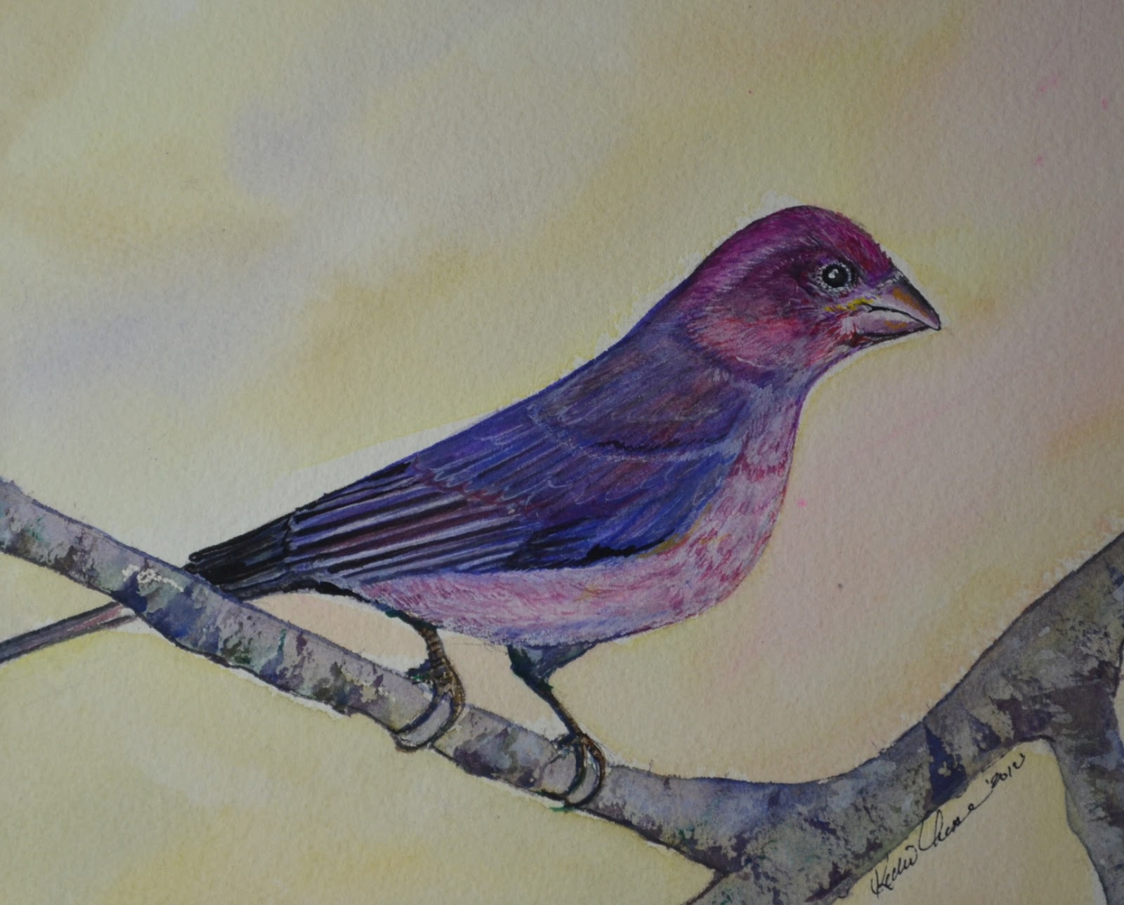 How To Draw A Purple Finch