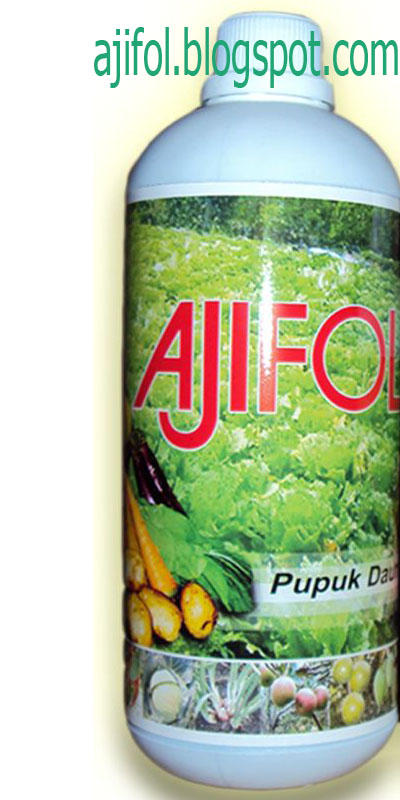 ajifol