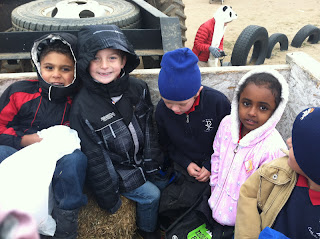 Ms. Solano's Kindergarten Class: Miller Farms Field Trip