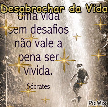 Desabrochar da Vida: Uma vida sem desafios não vale a pena ser vivida ...