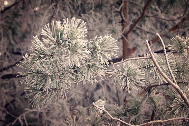 Kalevi pildiblogi: Talvepildid 2017