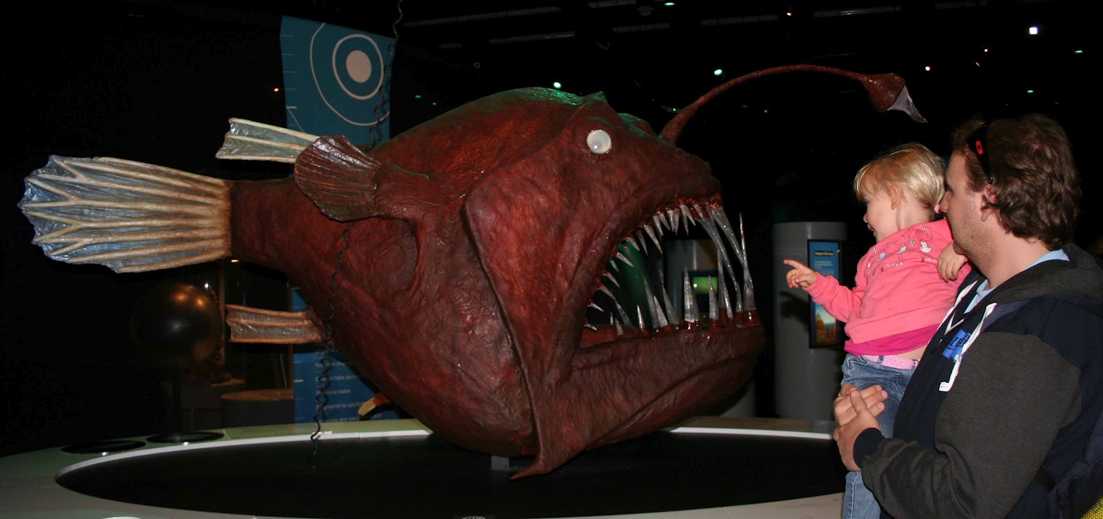 Creating and Educating: Australian Museum - Deep Oceans