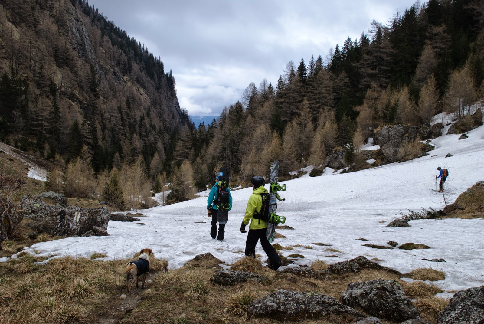 Pe drumul cel bun: Valea Cerbului cu alai mare