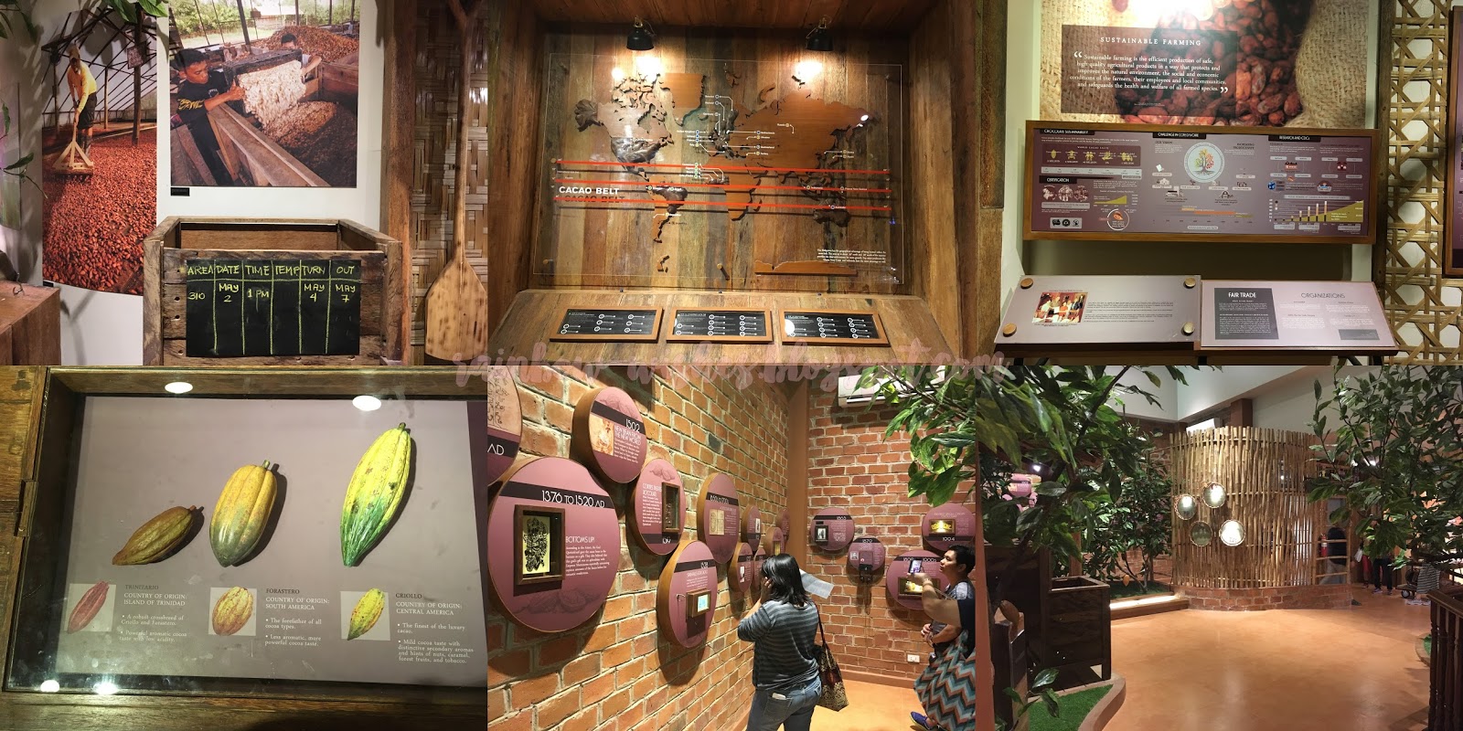 Day Off Diaries: Malagos Garden Resort feat. Chocolate Museum - My Notebook