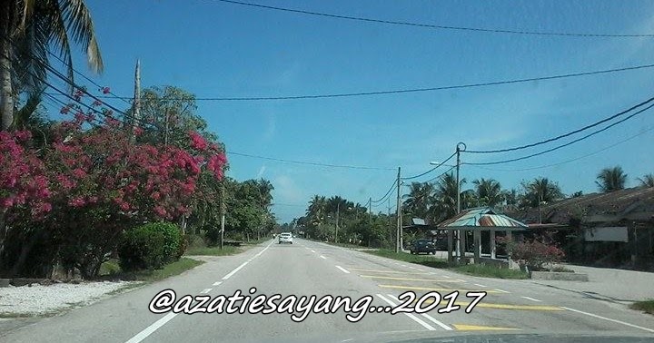 ♥♥Azatiesayang♥♥: Cengkenit/Kutu Babi