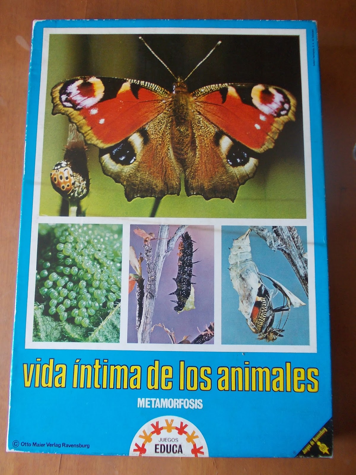 Pau Prats Darder ------ Vidas Paralelas (No sólo de la ingeniería vive ...