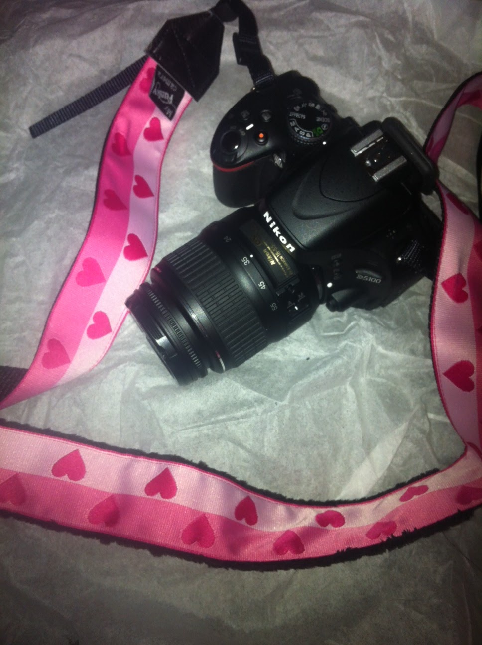 Adventures of Piglet Scooter: My Funky Camera Review and Giveaway