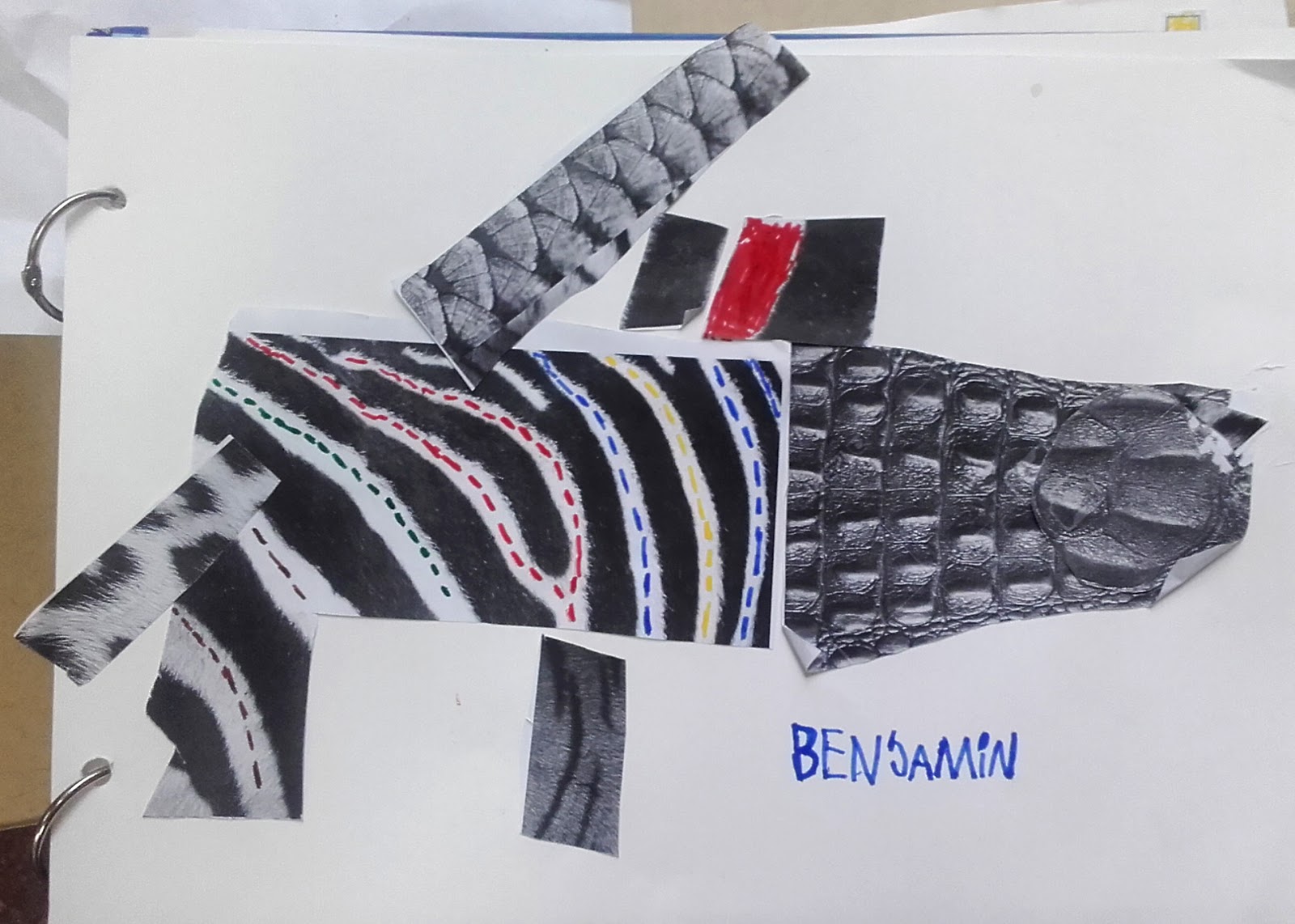 Sintonía Desplegable: TEXTURAS DE ANIMALES