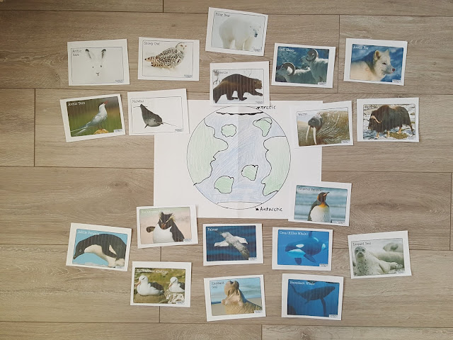 Polar Animals Activities | Multicultural Motherhood