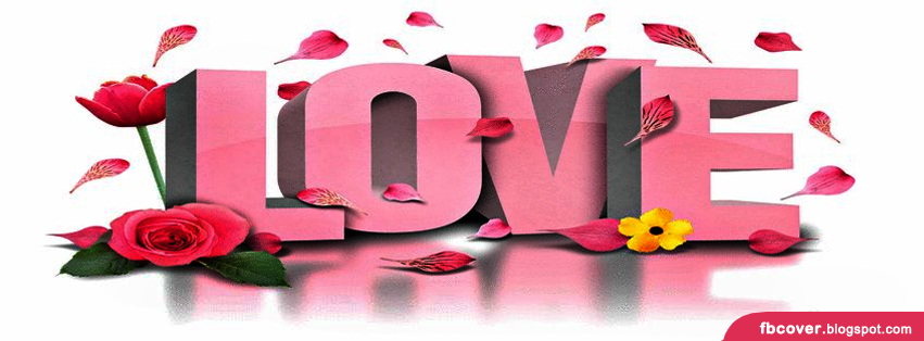 Love Rose Facebook cover | FB Cover - Unique Covers For FB Timeline