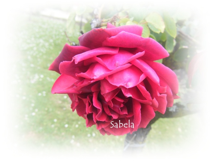 Un rincón para el atardecer: abril 2011