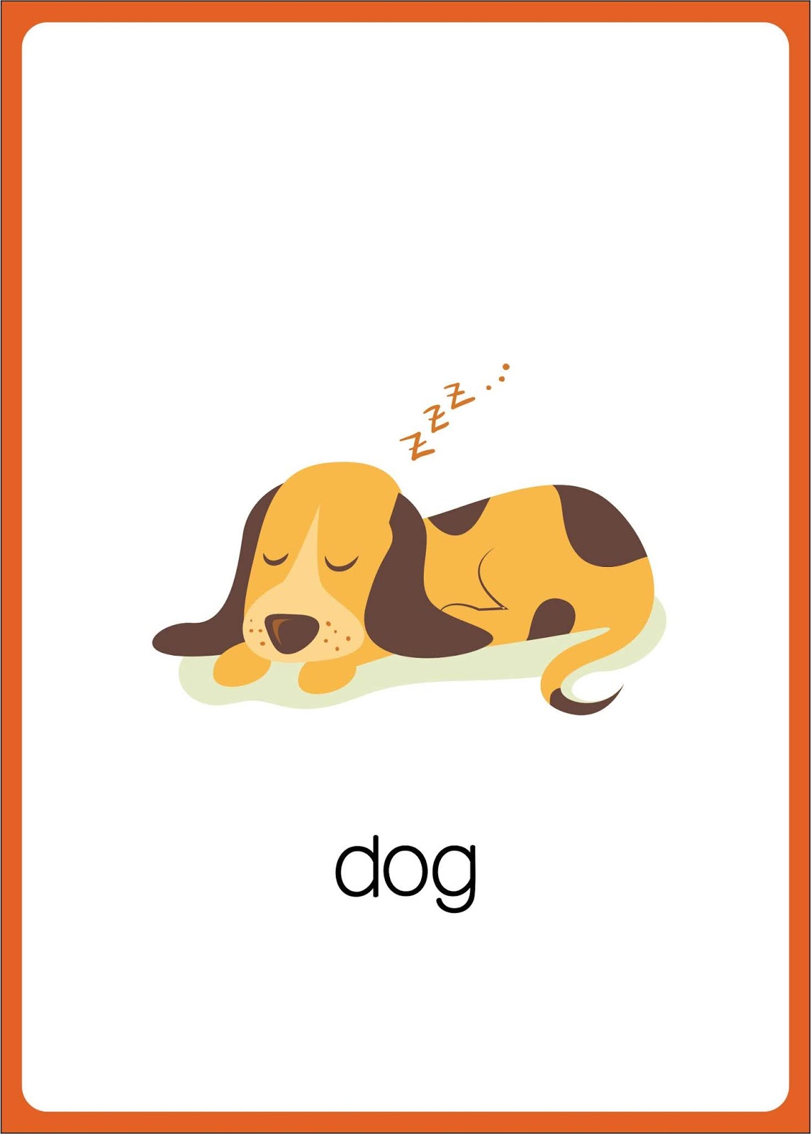 ANIMAL FLASHCARDS - BABY FIRST WORDS