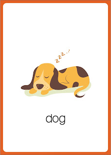 ANIMAL FLASHCARDS - BABY FIRST WORDS