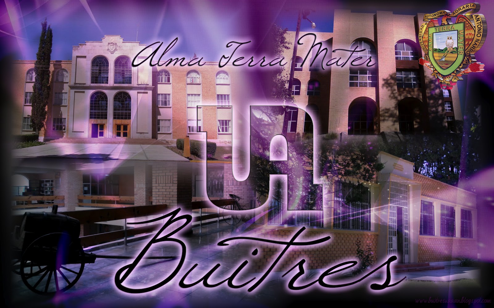 De donde seran mamá?: ANTONIO NARRO