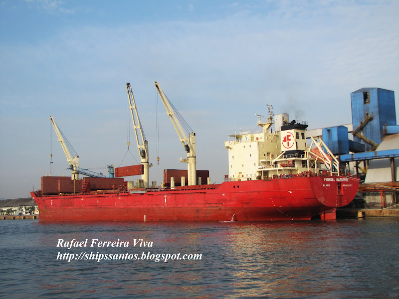 Navios em Santos: Tripulante de navio é internado com malária em Santos
