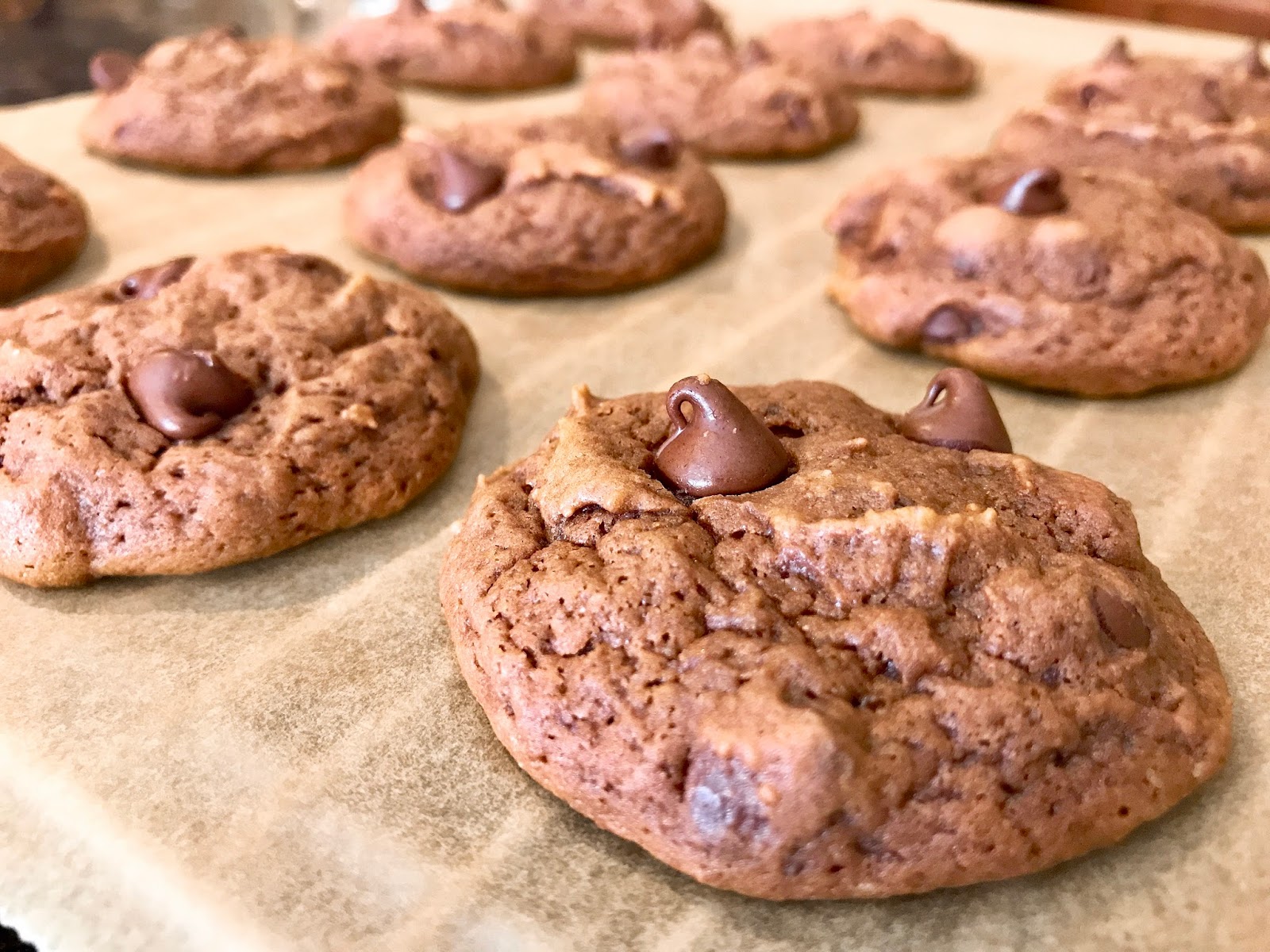 Chocolate Chip Pudding Cookies
