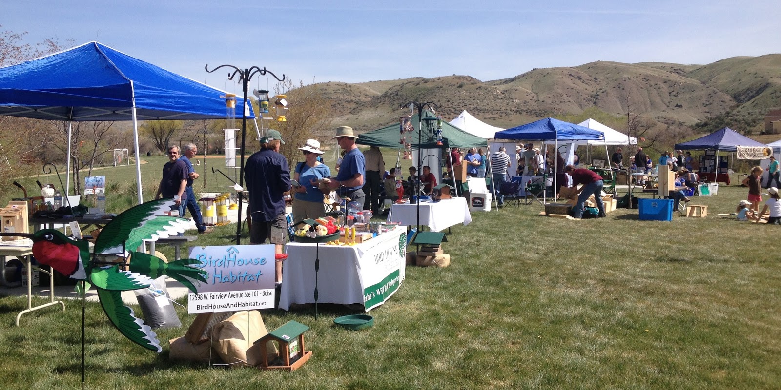 Birding Is Fun!: Boise Bird Festival - Idaho's Pledge to Fledge Event