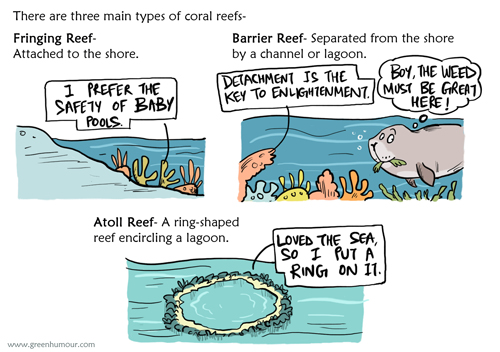 Green Humour: Corals in Cartoons