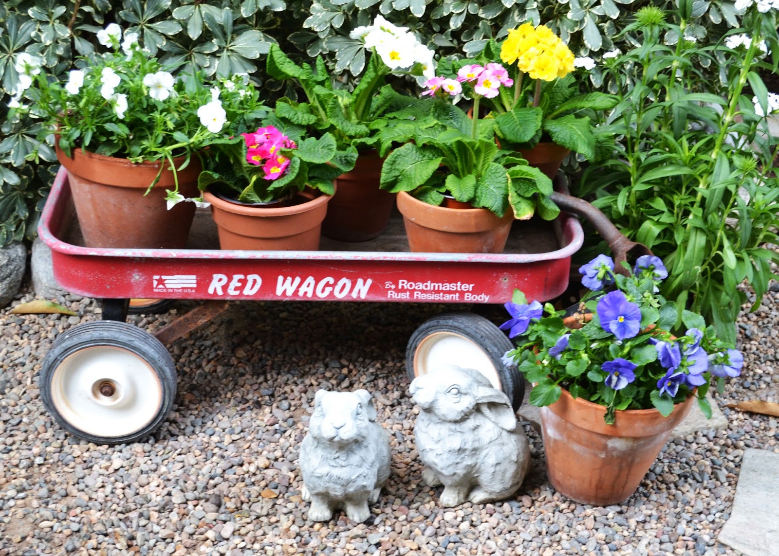 My Painted Garden: Painting Primroses