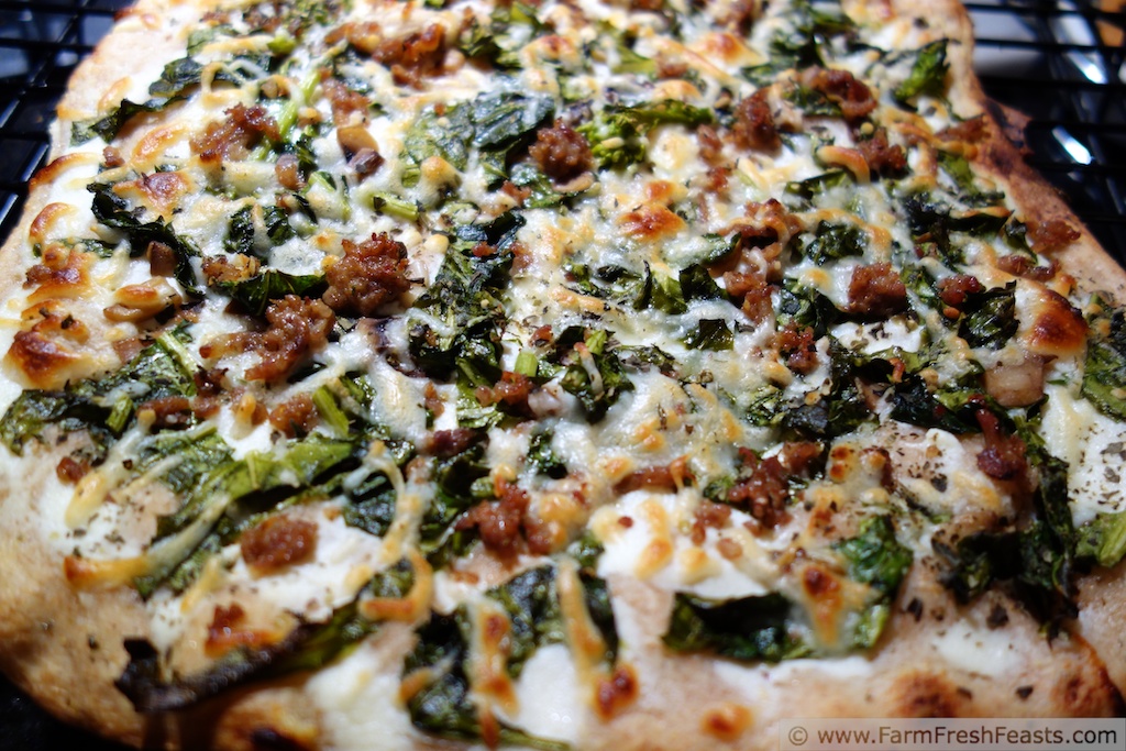 Farm Fresh Feasts: Broccoli Rabe (or Any Leftover Cooked Mild Greens ...