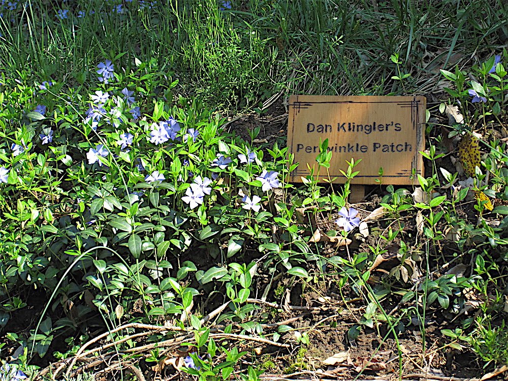 Walter Klingler & Stephen Boydstun : Thursday March 24, 2016 Dan ...