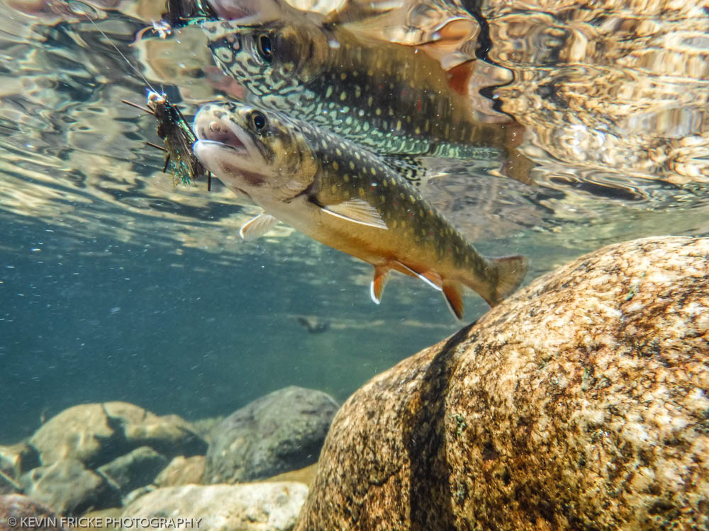 Colorado River Day 1
