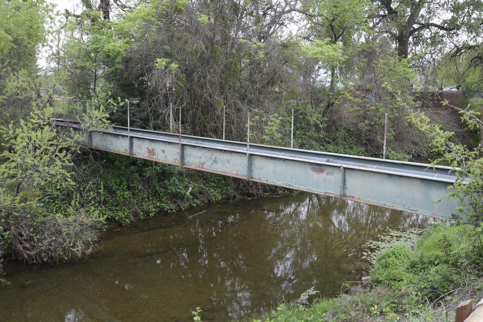 Bridge of the Week: Amador County, California Bridges: Utility Bridge ...