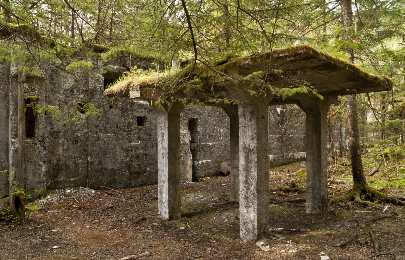 Sherrys Travel photography: Treadwell Gold mine, Juneau Alaska