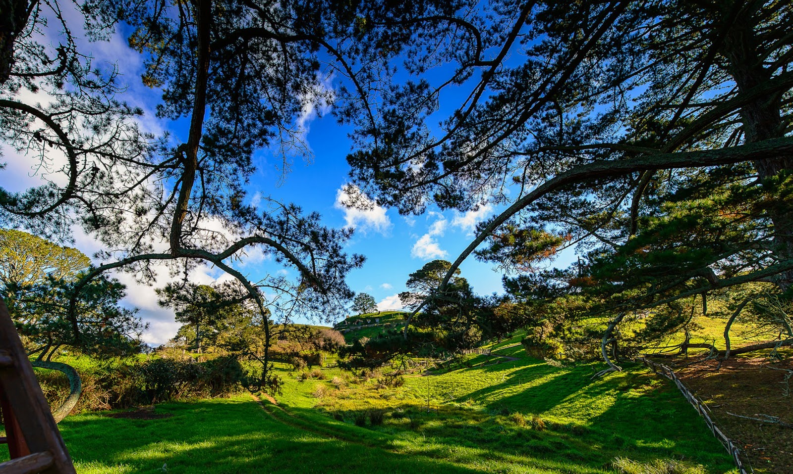 Matamata - Hobbiton, "The Shire". A voyage to Matamata, New Zealand ...