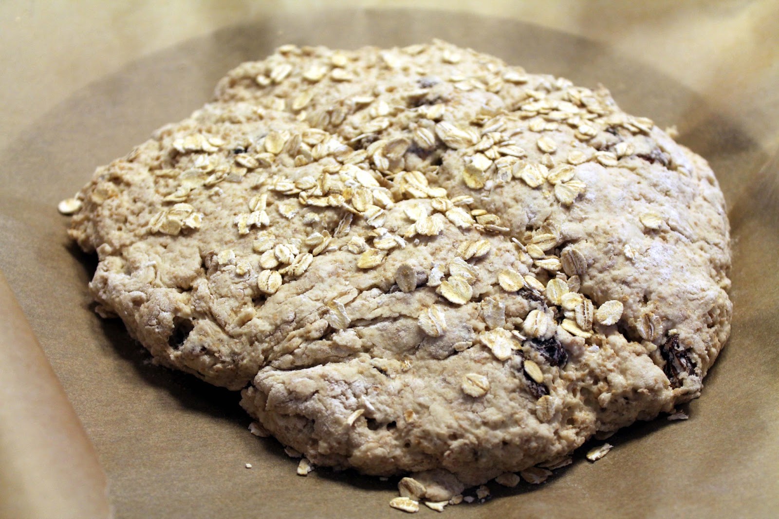 Serena's Medium Rare: Healthy Spotted Dog