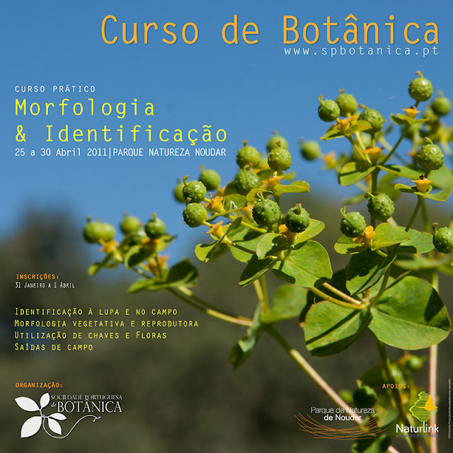 (Loja de) História Natural: Divulgação: Curso de Botânica da Sociedade ...
